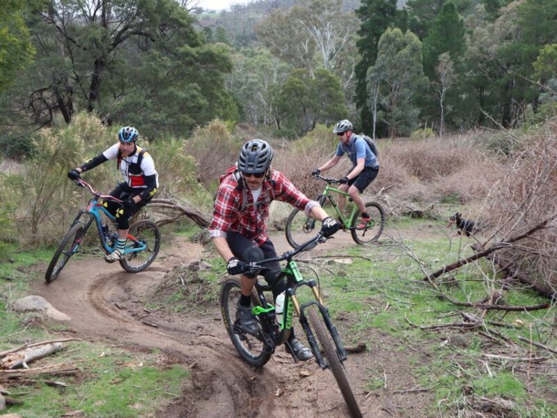 Melbourne: 1-Day Mountain Biking Adventure with Lunch - The Sum Up