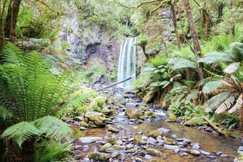 Melbourne: 12 Apostles, Otways & Great Ocean Road Day Tour - FAQ