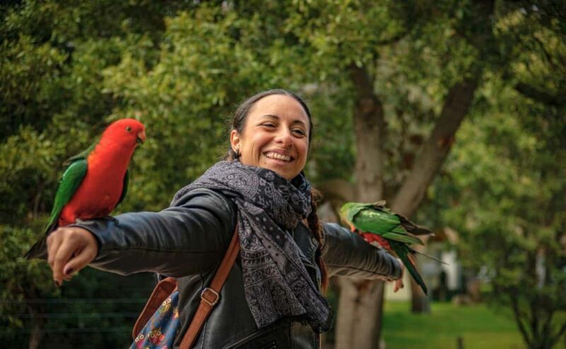 Melbourne: 12 Apostles Sunset Tour - Less Crowds - An Overview of What Makes This Tour Stand Out