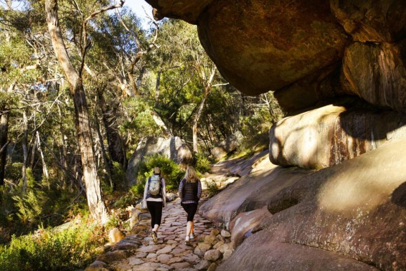 Melbourne: 2-Day Great Ocean Road & Grampians Tour - An In-Depth Look at the Tour Experience
