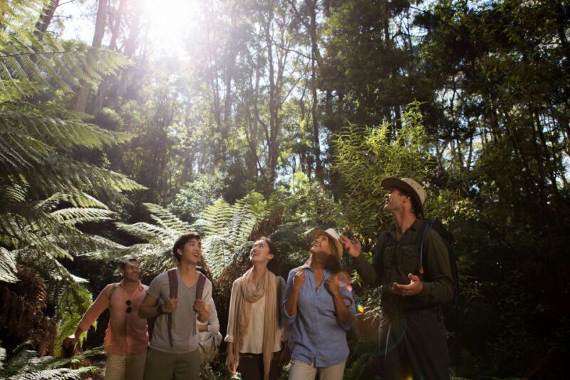 Melbourne: 2-Day Great Ocean Road & Grampians Tour - Who Should Consider This Tour?