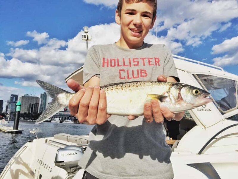 Melbourne: A Private Day Tour on a Sports Yacht on the Bay - What Reviewers Love (and What to Consider)