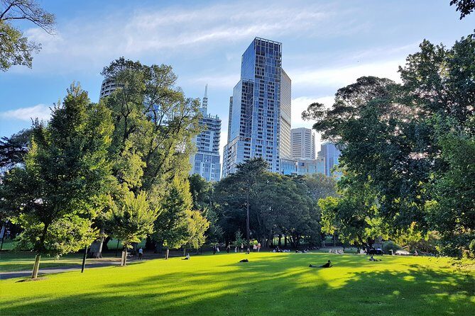 Melbourne Afternoon Sights & Sounds Private Experience - Final Thoughts: Who Is This Tour For?