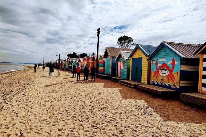 Melbourne and Moonlit Sanctuary Shore Excursion - Key Points