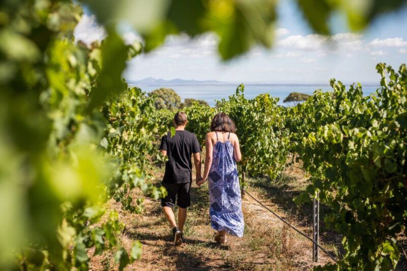 Melbourne: Around the Bay Food & Wine Taste Trail - An Authentic Taste of Victoria’s Coastal and Vineyard Charm