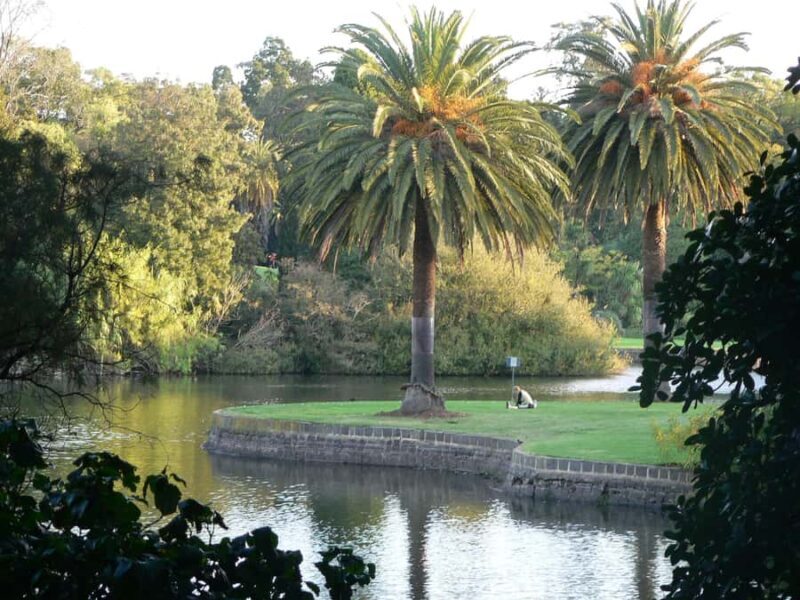 Melbourne: Botanic Gardens & Sports Precinct Walking Tour - Key Points