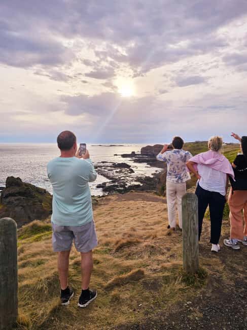 Melbourne: Boutique Phillip Island Wine, Dine & Penguin Tour - Who Should Consider This Tour?