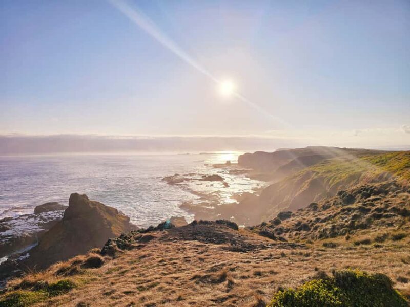 Melbourne: Boutique Phillip Island Wine, Dine & Penguin Tour - The Sum Up