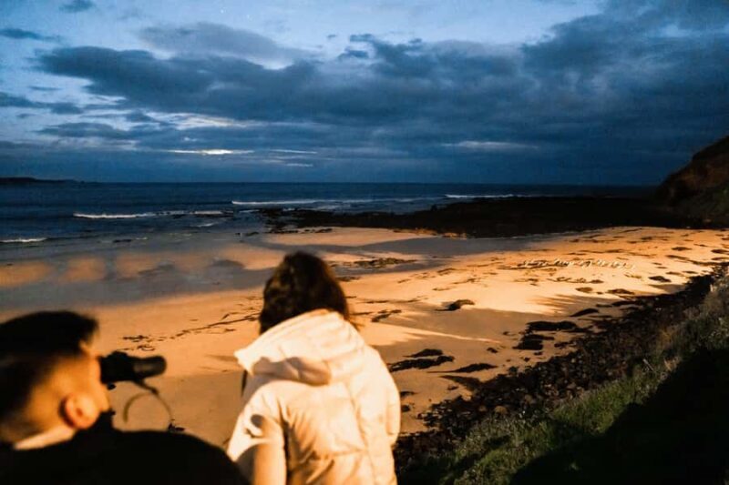 Melbourne: Bunurong Coast & Penguin Parade Day Trip - An In-Depth Look at the Tour Experience