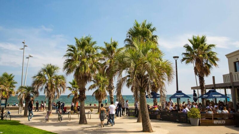 Melbourne: City Highlights, Suburbs & Laneways Bus Tour - Who Will Love This Tour?