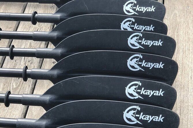 Melbourne City Sights Kayak Tour - Frequently Asked Questions