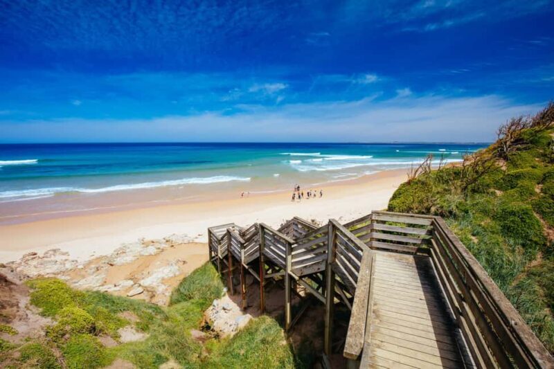 Melbourne: Coastal View & Phillip Isand Penguin Parade Tour - Final Words