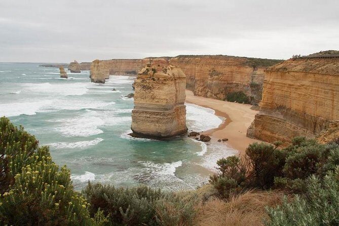 Melbourne Combo: Great Ocean Road Day Trip and Phillip Island Day Trip from Melbourne - An Overview of the Tour Experience