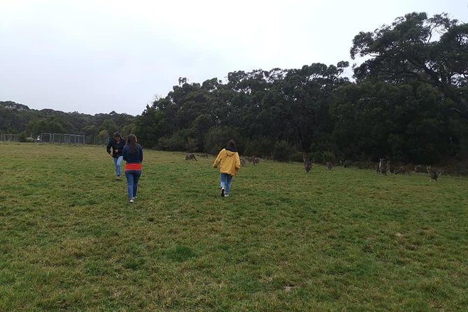 Melbourne Combo: Great Ocean Road Day Trip and Phillip Island Day Trip from Melbourne - FAQ