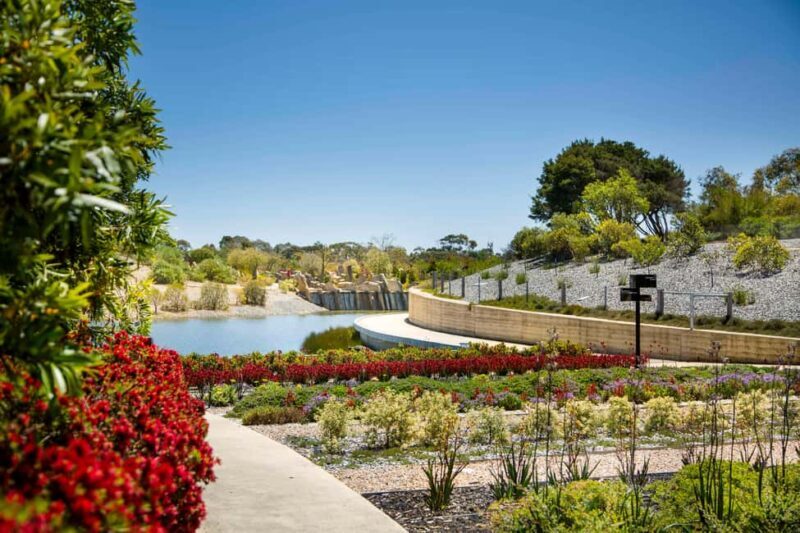 Melbourne: Cranbourne Gardens Electric Explorer Tour - Who Will Love This Tour?