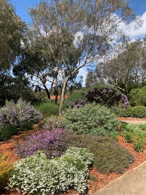 Melbourne: Cranbourne Gardens Electric Explorer Tour - Frequently Asked Questions