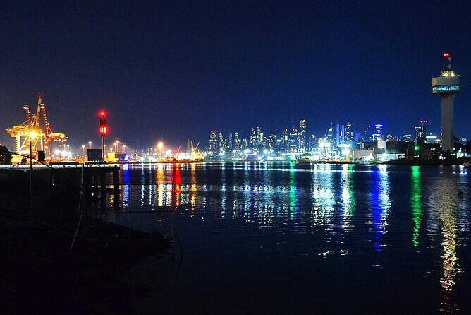Melbourne Drive by Night - Private Tour - Who Will Benefit Most?