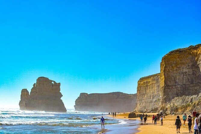 Melbourne: Explore Great Ocean Road by Private Tour - Key Points