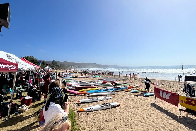 Melbourne: Explore Great Ocean Road by Private Tour - First Impressions: A Personal Tour Along the Coast