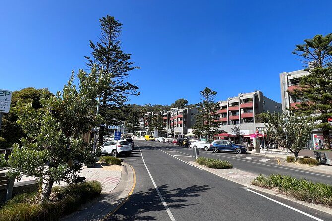 Melbourne: Explore Great Ocean Road by Private Tour - Who Would Enjoy This Tour Most?
