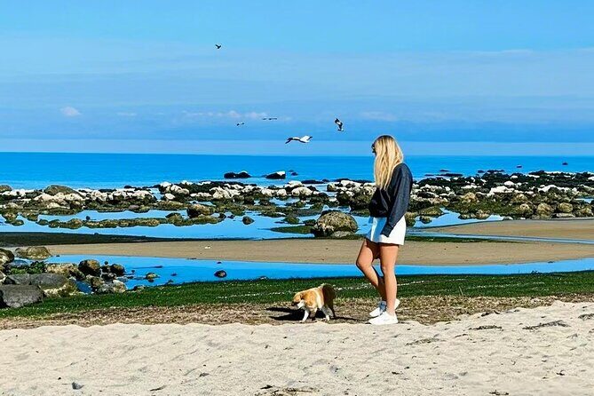 Melbourne Great Ocean Road 12 Apostles Luxury Coach Tour - Why Choose This Tour?
