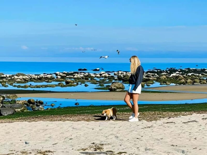 Melbourne: Great Ocean Road & 12 Apostles Luxury Coach Tour - Flexibility and Extras