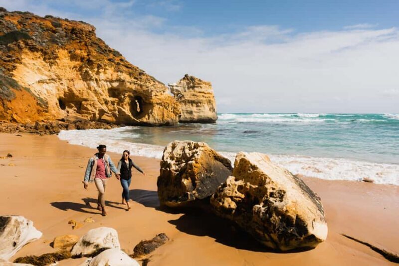 Melbourne: Great Ocean Road 12 Apostles & Rainforest Tour - Price and Value