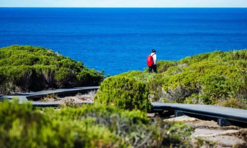Melbourne: Great Ocean Road Day Tour - Key Points