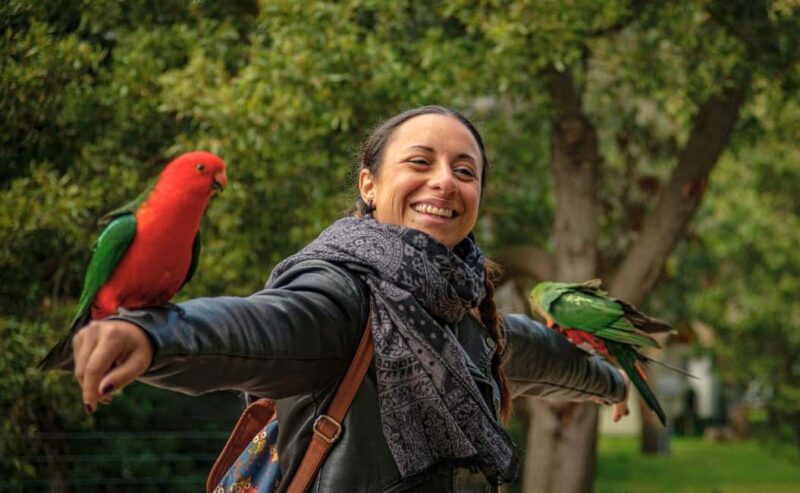 Melbourne: Great Ocean Road, Penguin Parade & Free City Tour - What to Expect from the Experience as a Whole