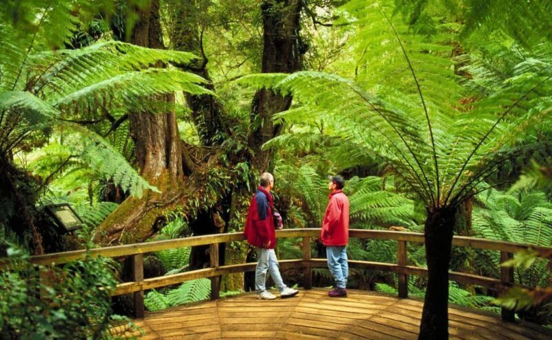 Melbourne: Great Ocean Road, Penguin Parade & Free City Tour - Final Thoughts: Is It Worth It?