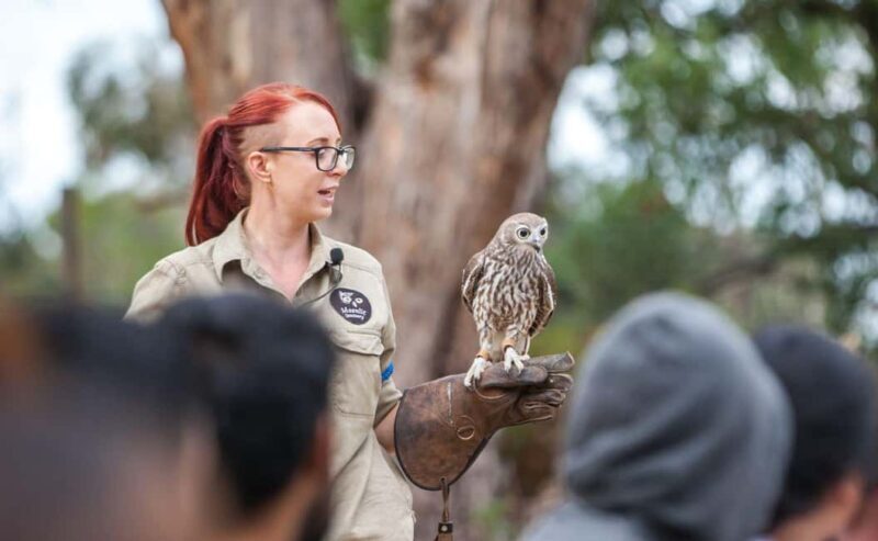 Melbourne: Great Ocean Road, Penguin Parade & Free City Tour - FAQ