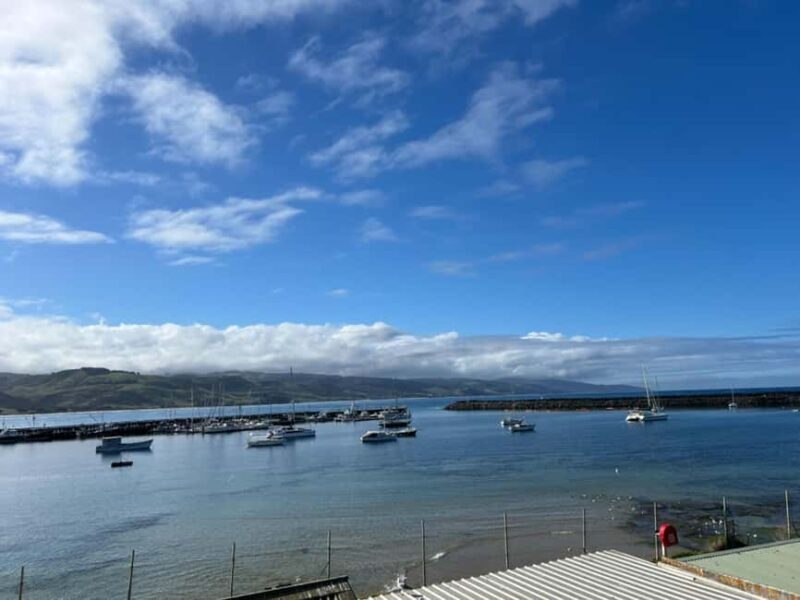 Melbourne: Great Ocean Road Private Day Tour - Who is This Tour Best For?