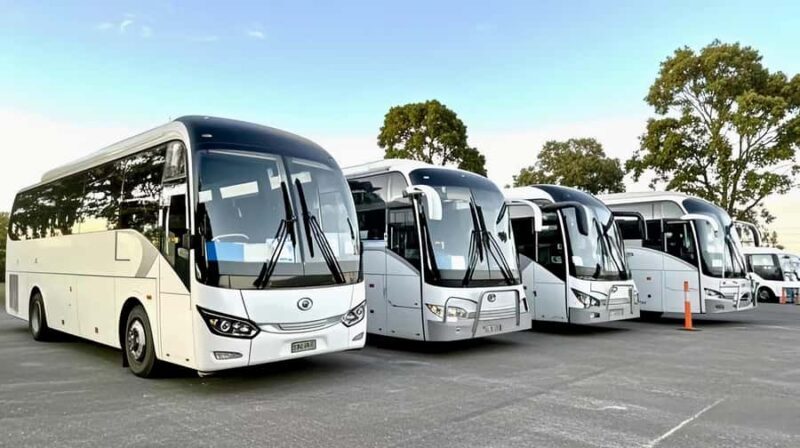 Melbourne: Great Ocean Road Reverse Tour & London Bridge - Who Should Consider This Tour?