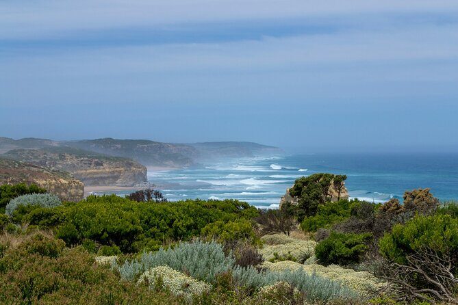 Melbourne: Great Ocean Road Tour with Maxi Highlights in One Day - The Value of This Tour