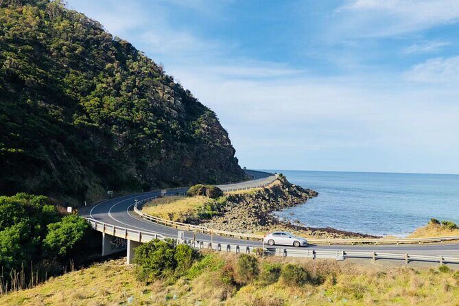 Melbourne: Great Ocean Road Tour with Maxi Highlights in One Day - The Sum Up