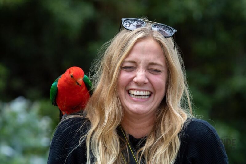 Melbourne: Great Ocean Road & Wildlife Tour for Backpackers - Authentic Experiences and What Travelers Say