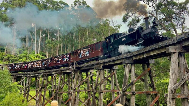 Melbourne: Half-Day Puffing Billy Steam Train Experience - Key Points