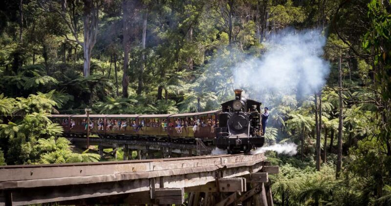 Melbourne: Half-Day Puffing Billy Steam Train Experience - Practical Details: What You Need to Know