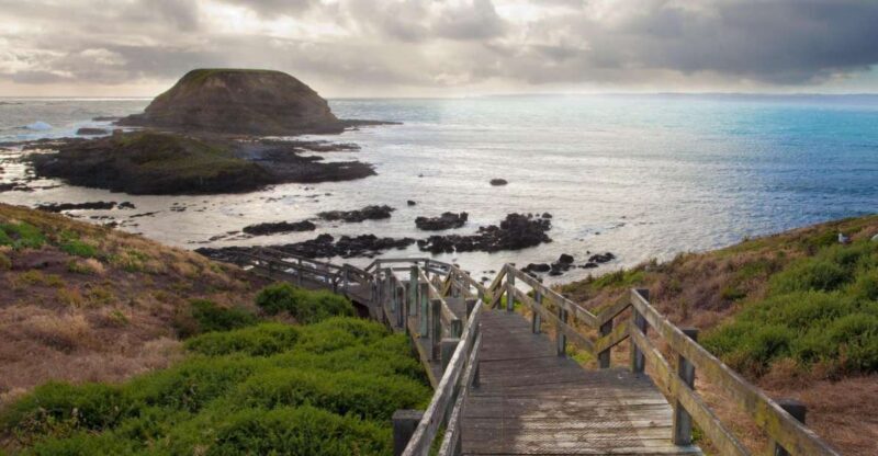 Melbourne: Healesville Sanctuary & Phillip Island Tour - What to Expect from the Tour