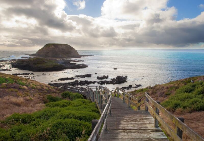 Melbourne: Healesville Sanctuary & Phillip Island Tour - What the Reviews Say