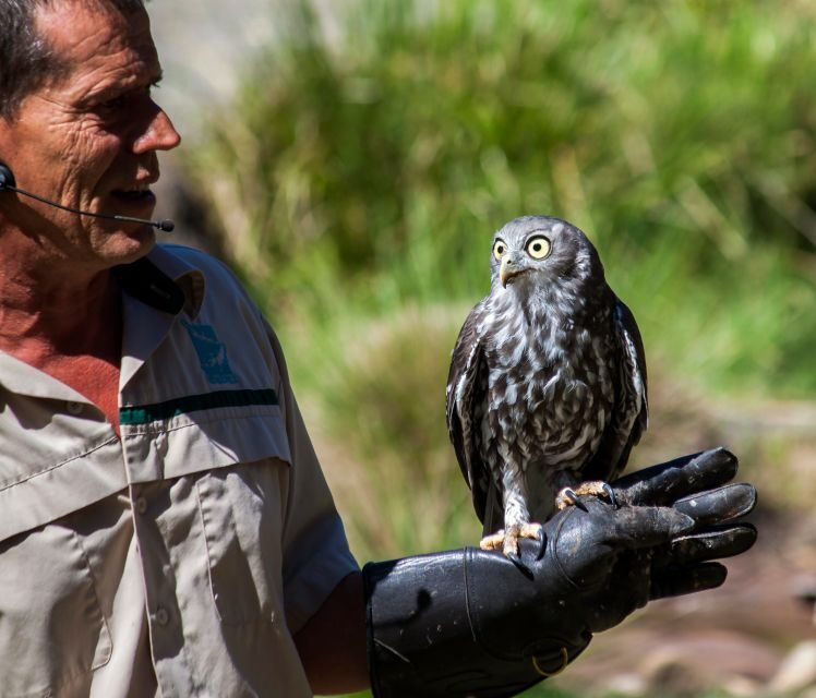 Melbourne: Healesville Sanctuary & Phillip Island Tour - Final Thoughts