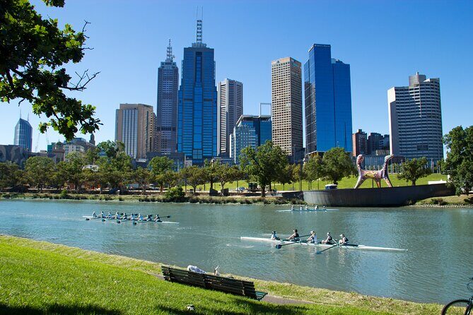 Melbourne Highlights and Aussie Wildlife Express Tour - The Experience of the Guides and Reviews