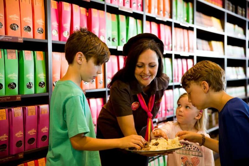 Melbourne: Lake Mountain Snow & Waterfalls Guided Tour - An Authentic Day Out: What This Tour Offers