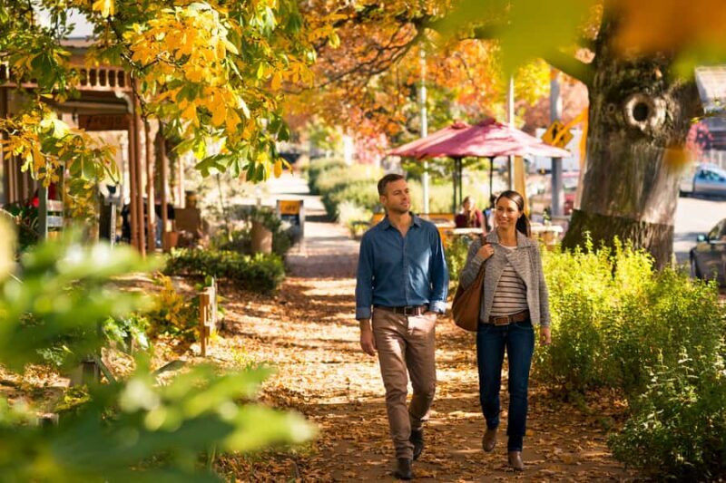 Melbourne: Lake Mountain Snow & Waterfalls Guided Tour - Authentic Experiences and Review Highlights