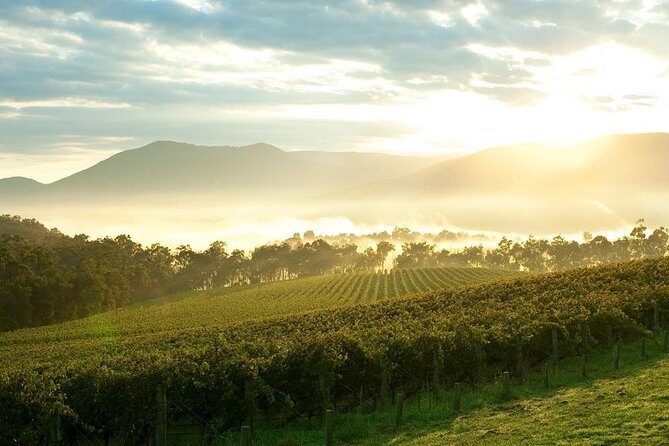 Melbourne Like a Local: Customized Private Tour - The Role of the Guide