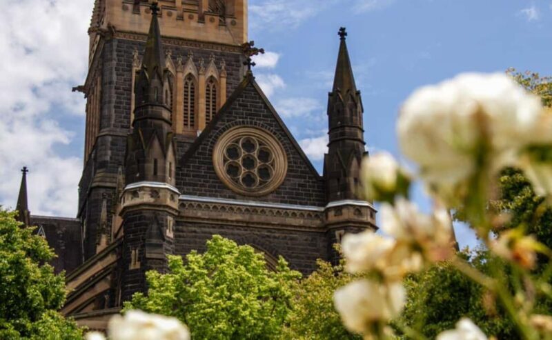 Melbourne Magic: City Highlights and Penguin Parade Tour - Final Thoughts