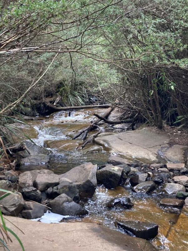 Melbourne: Marysville Day Trip with Healesville Sanctuary - Deep Dive: What to Expect at Each Stop