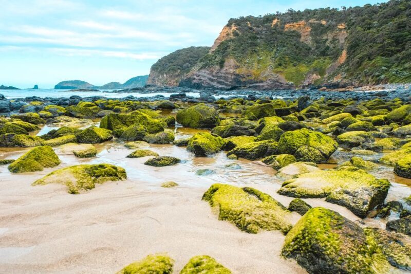 Melbourne: Mornington Peninsula & Hot Springs Tour 8 pax max - Final Words: Is This Tour Worth It?