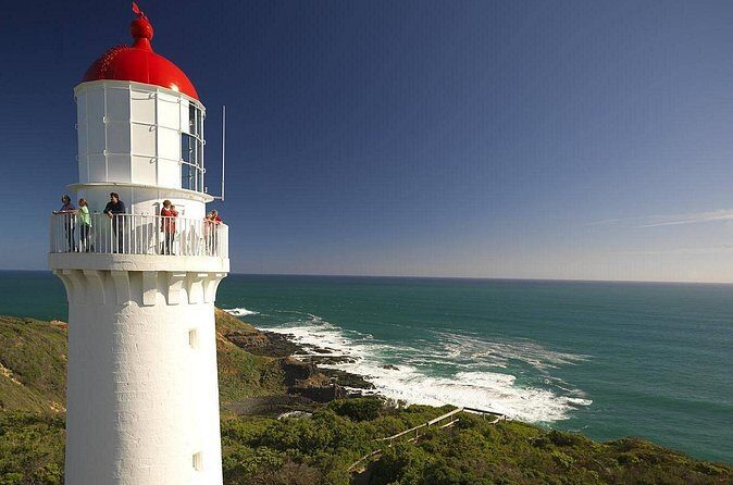 Melbourne Mornington Peninsula Private Tour include Tickets - Who This Tour Suits Best