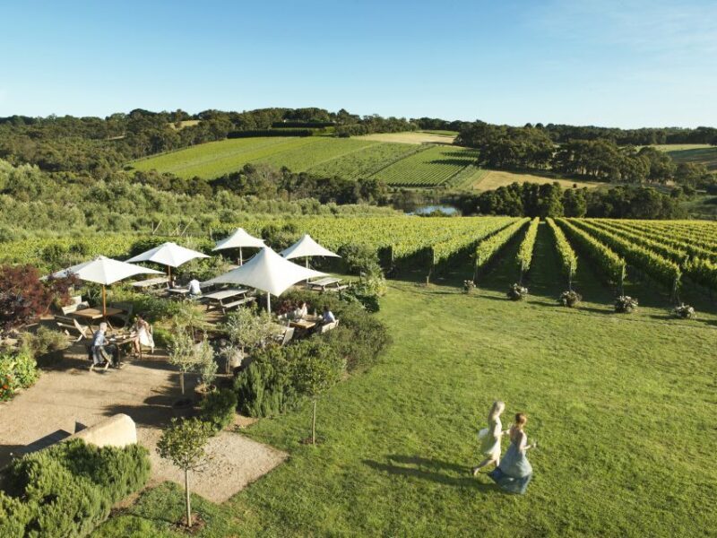 Melbourne: Mornington Peninsula Wine Day Tour - Key Points
